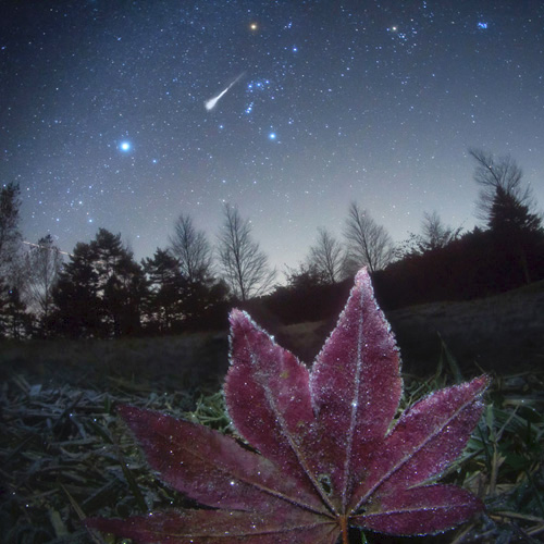 Tony Rothwell Web Designer & TRdesigns of Stoke Creative Website ...